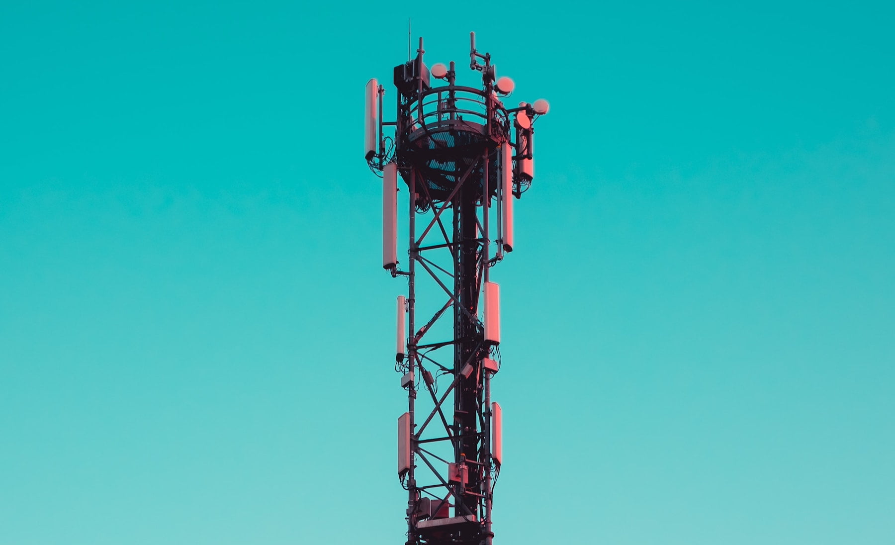 Horizontal and Backbone Cabling Explained - LayerLogix